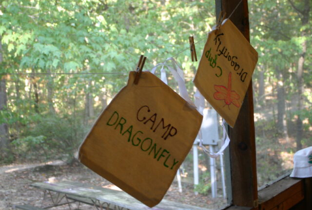 Camp Dragonfly – Augusta Health
